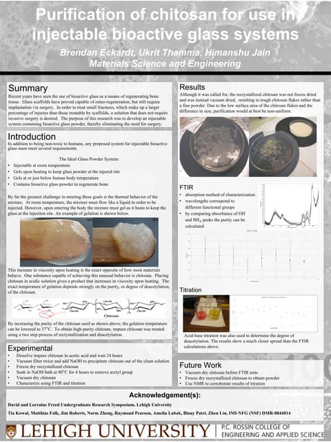 Sample Disruption Poster | PDF