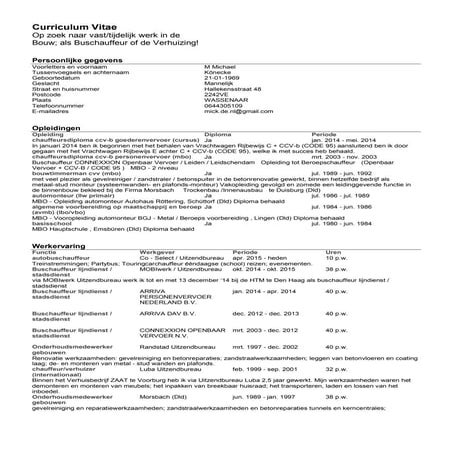 Cv Henk Alferink 2017 | PDF