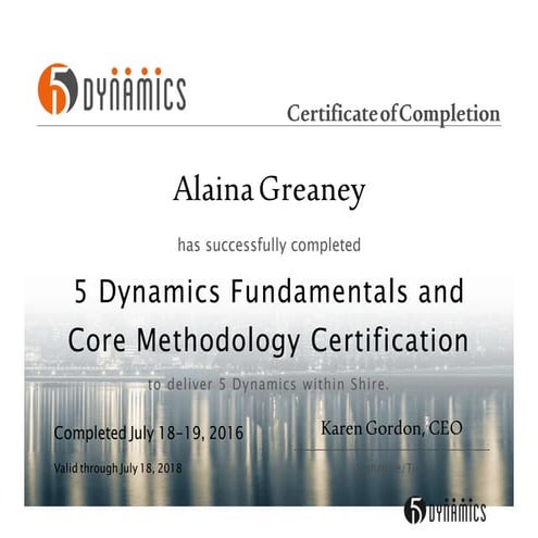 5-Dynamics Certification | DOCX | Information and Network Security ...