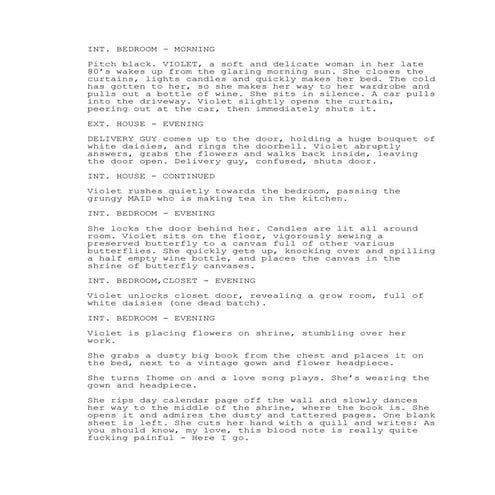 Script Sample Short | PDF