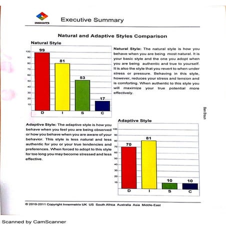 DISC Chart (1) | PDF
