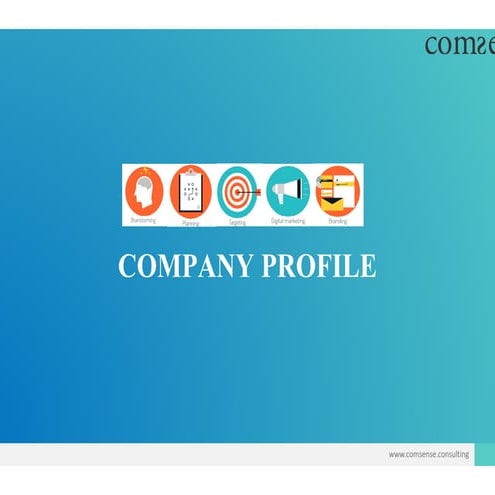 Comsense Company Profile | PDF