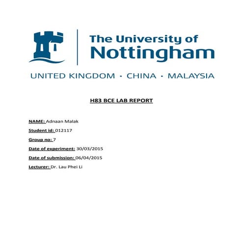 BCE-lab report | PDF