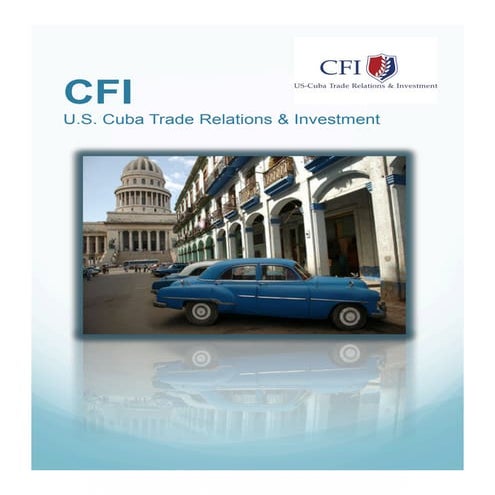 CFI-Overview | PDF