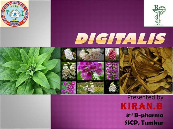 Pharmacognosy of Digitalis: Cardiac Glycosides and Their Therapeutic ...