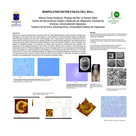Functionalized Diatoms Poster Presentation | PDF