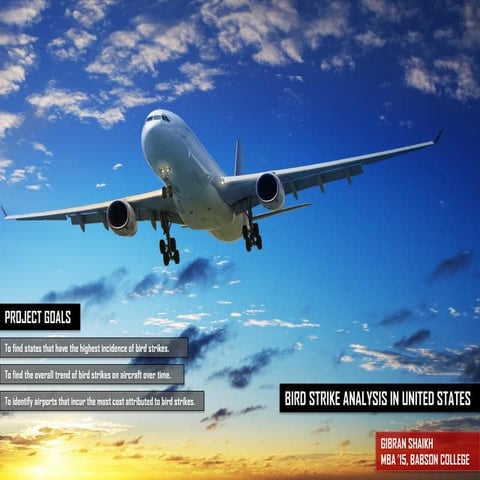Bird Strikes-Analytic Project | PDF
