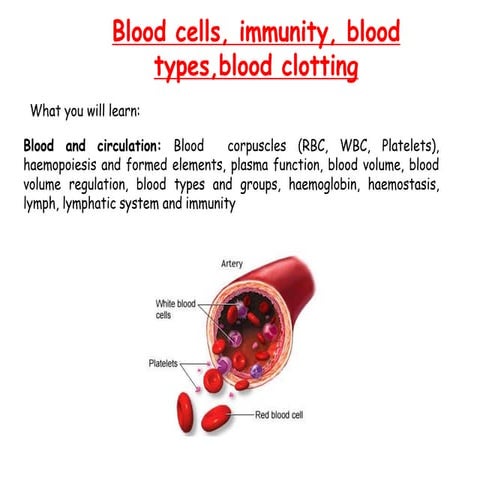 3a. blood, immunity | PPT