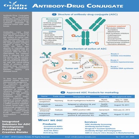 A Brief Introduction of Antibody Drug Conjugate | PDF