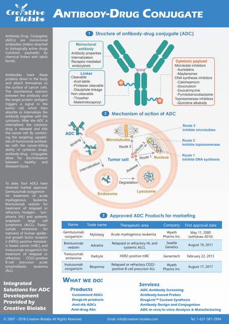 What is ADC? - Creative Biolabs | PPTX