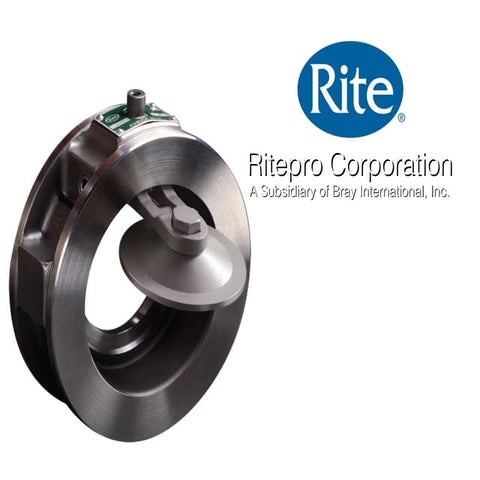 Ritepro Check Valves | PPT