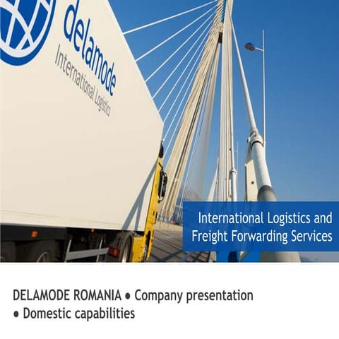 Delamode Romania_Company presentation_Domestic capabilities | PDF