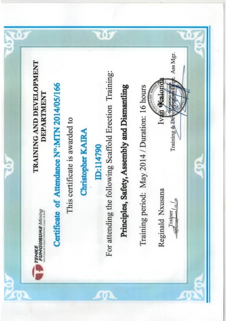 TFM painting certificate | PDF