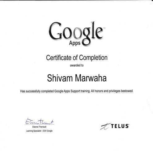 Google Certificate | PDF