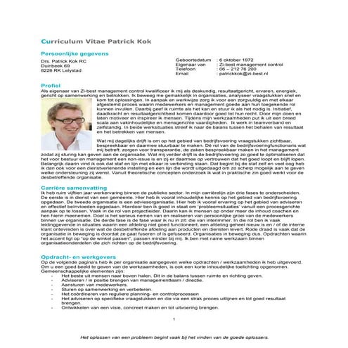 150105 CV Patrick Kok | PDF