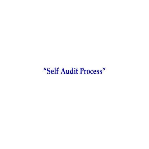 3a 6 Self Audit Process | PPT