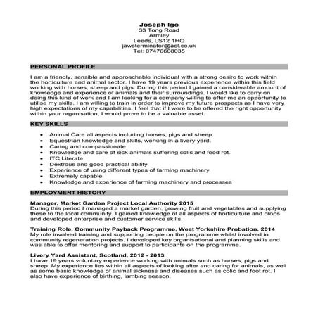 Curriculum Vitae | DOCX