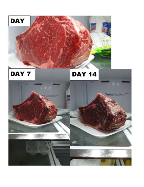 Diploma academie tudorache madalin | PDF