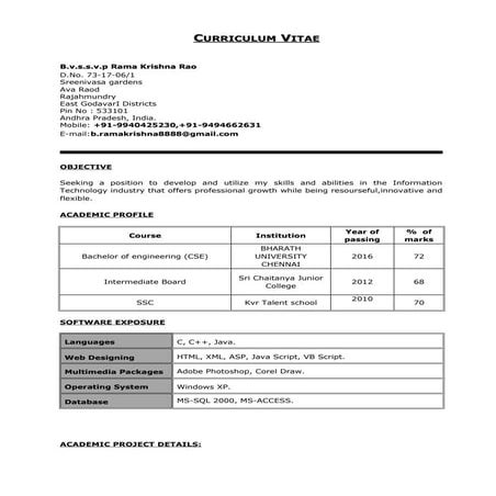 Curriculum Vitae (2) | DOC | Programming Languages | Computing