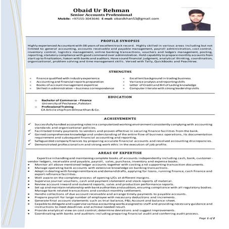 Obaid - CV (3) | DOCX