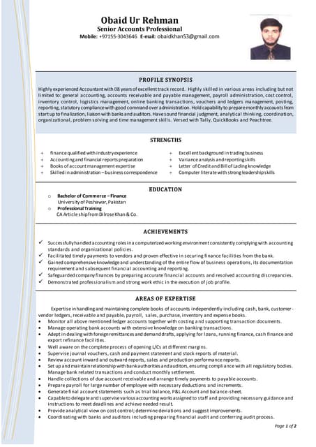 Raja Rizwan CV | PDF