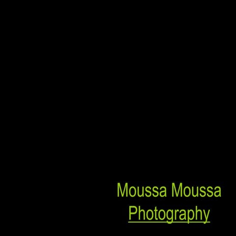 Moussa Moussa Portfolio | PPTX