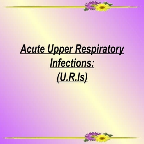 Acute Upper Respiratory Infections medicine 1 | PPT