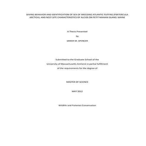 Thesis | PDF