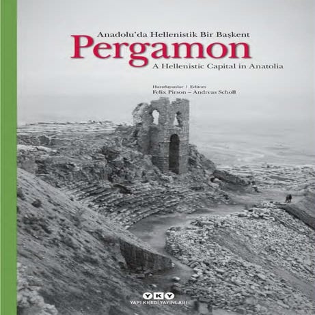 pergamon | PDF