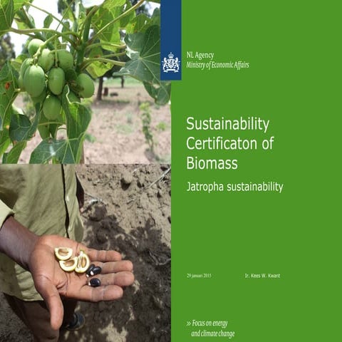 El Komy Biodiesel Egypte EU-ISCC-Cert-DE100-14416123.pdf