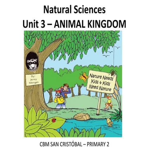 3 animal kingdom | PPT