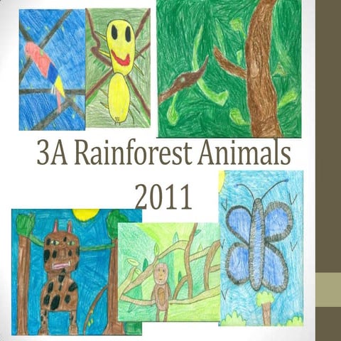 3A Rainforest Animals 2011 | PPTX