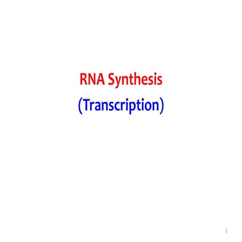 3B.Transcription.pptx