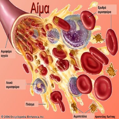 3b.ERYTHRA_LEYKA_AIMOSFAIRIA.πήξη αίματοςpptx | PPTX