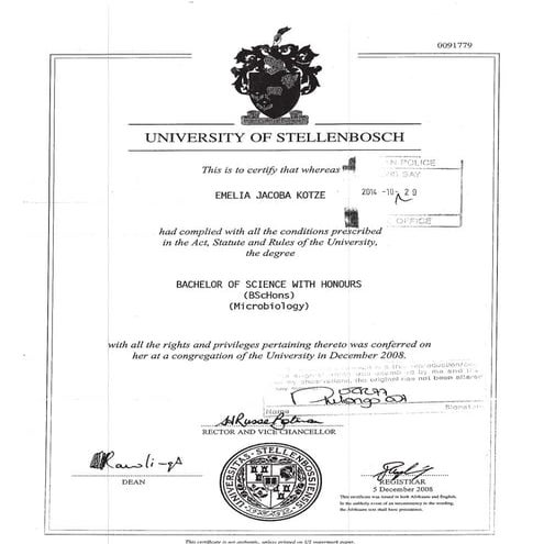 BSc Hons Degree | PDF