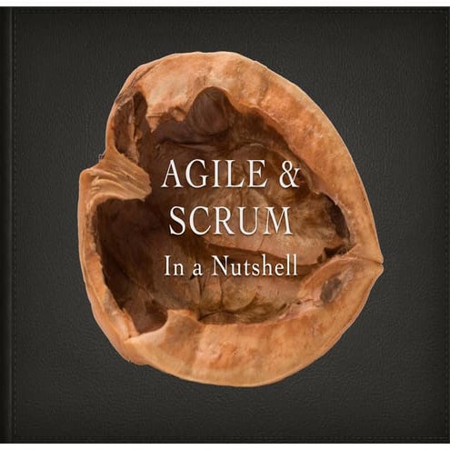 Agile And Scum In a Nutshell | PDF