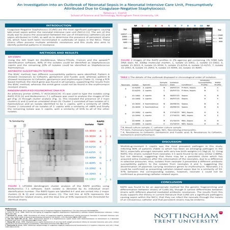 Research Project Poster FINAL | PDF