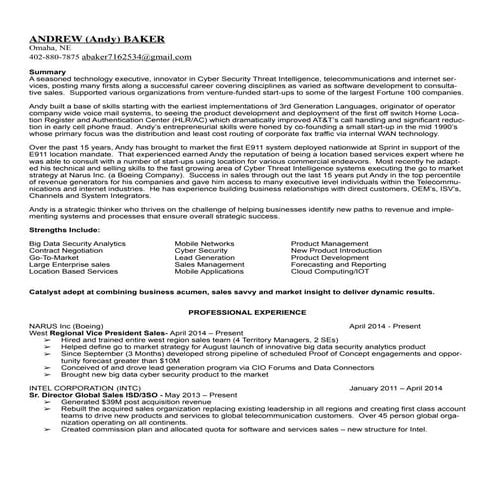 Andy Baker's 2014 Resume V6 | PDF | Sales | Business