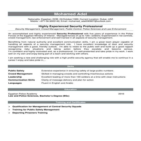 Mohamed Adel Cv 2016 | PDF