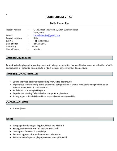 ESTER CATCHUELA-CV 2015 | PDF