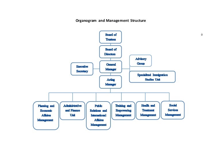 6. Organogram and Management Structure