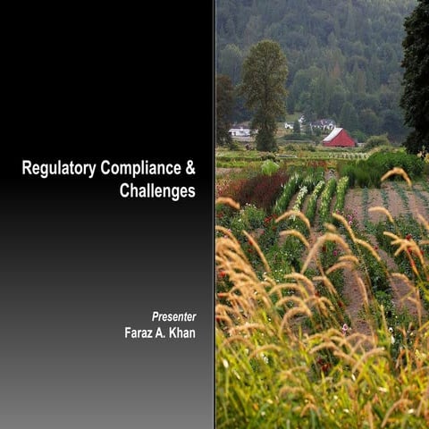 Regulatory Challenges - Final | PPTX