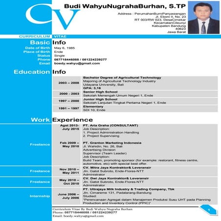 Budi's Curriculum Vitae | PDF