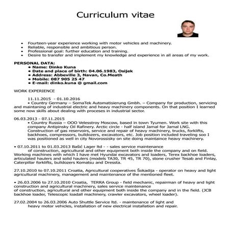 Dinko Ireland CV | PDF