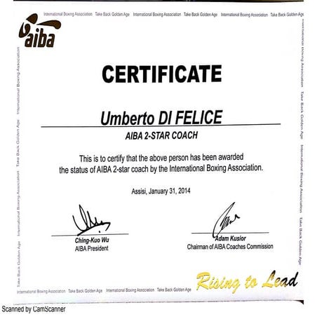 UDF's AIBA 2 star certificate | PPT