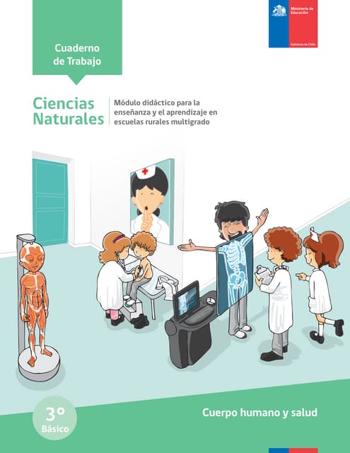 Prueba unidad n° 3 alimentación saludable 3º básico | PDF