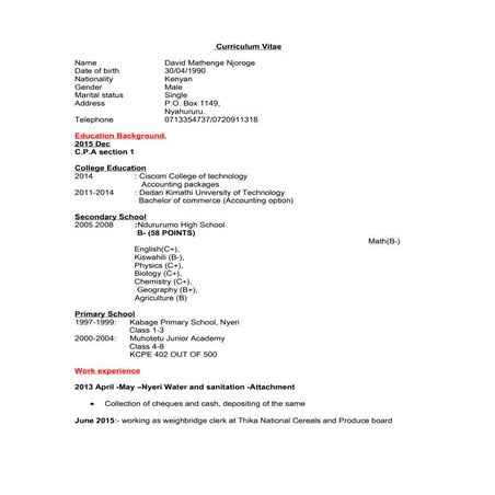 cv david(1) | DOC
