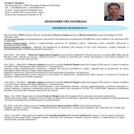 CV Marco Merlo | PDF