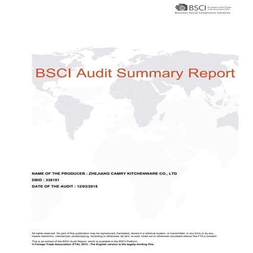 SummaryAuditReport | PDF
