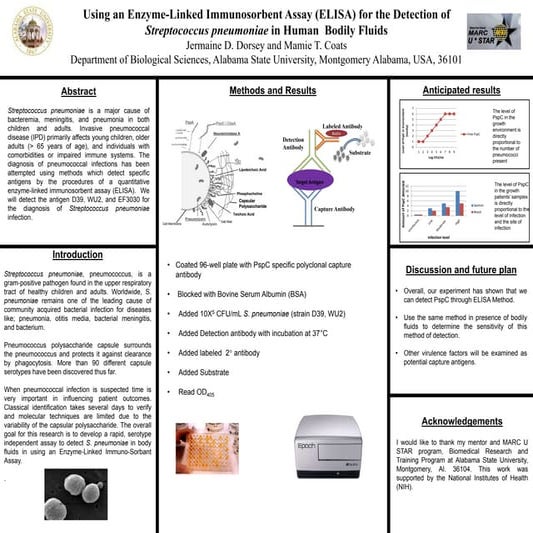 ELISA Poster Presentation 2012 RCA 5 mtc | PPTX